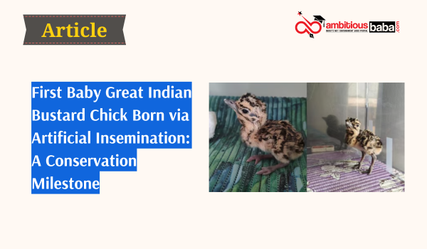 First Baby Great Indian Bustard Chick Born via Artificial Insemination ...